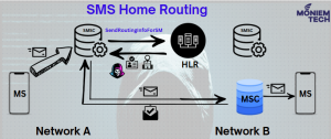 SMS Home Routing Role in SS7 Security - Moniem-Tech